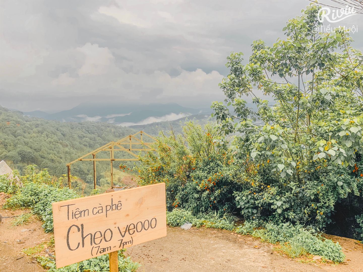Cheo veo Coffee Đà Lạt 116 Hùng Vương, TP. ĐÀ LẠT | riviu.vn