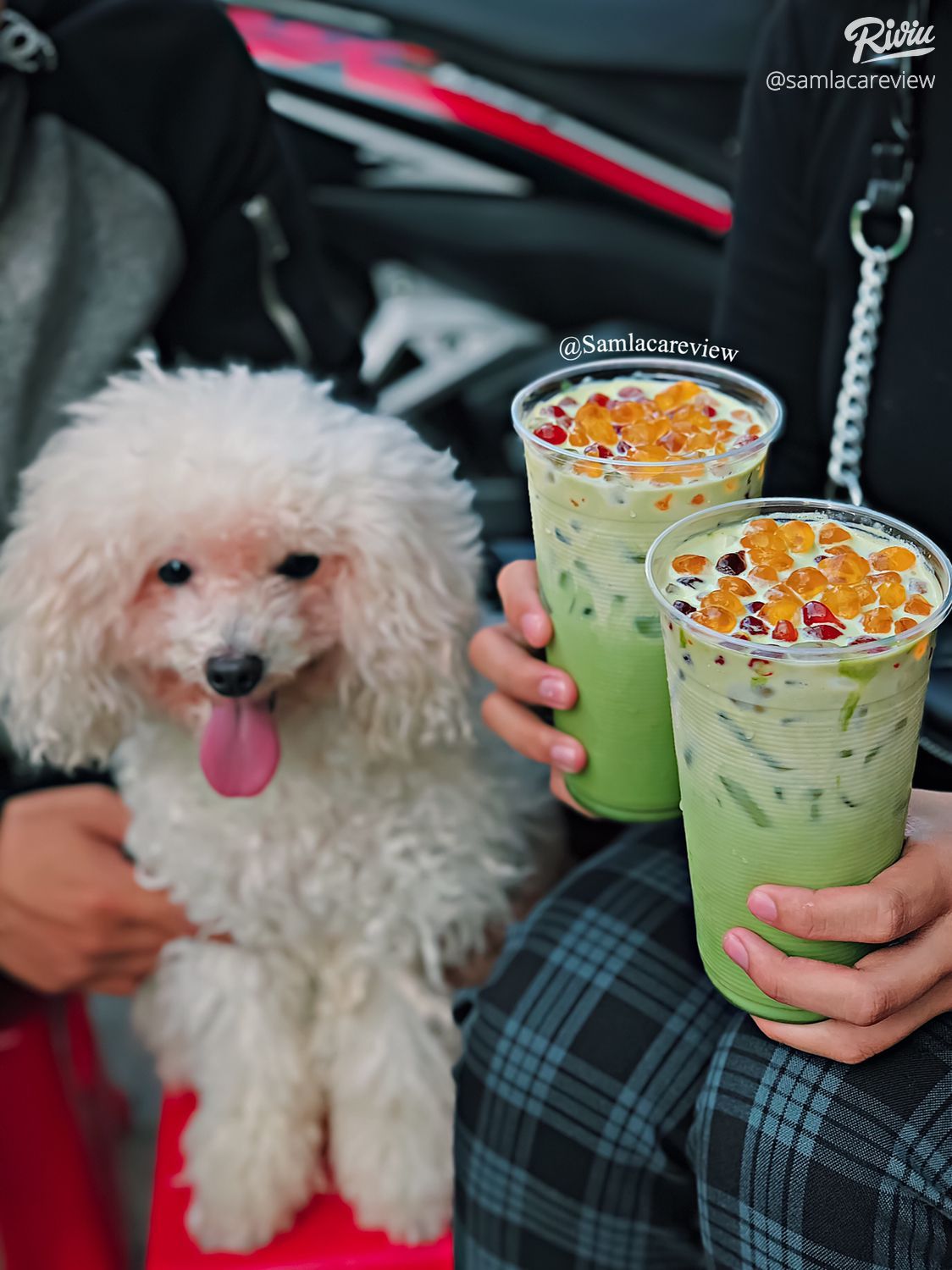 Ruby Tea 91 Đặng Chất, Phường 02, Quận 8, Hồ Chí Minh | riviu.vn