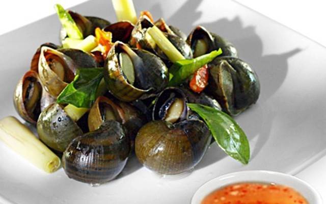 Cây Gáo - Quán Ăn Sân Vườn 11/2 Phan Văn Hớn, Ấp 2, Xã Xuân Thới Thượng ...
