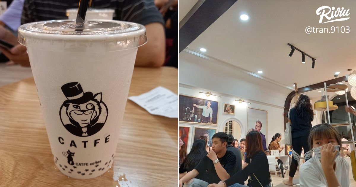 Catfe - Thế giới Mèo | riviu.vn