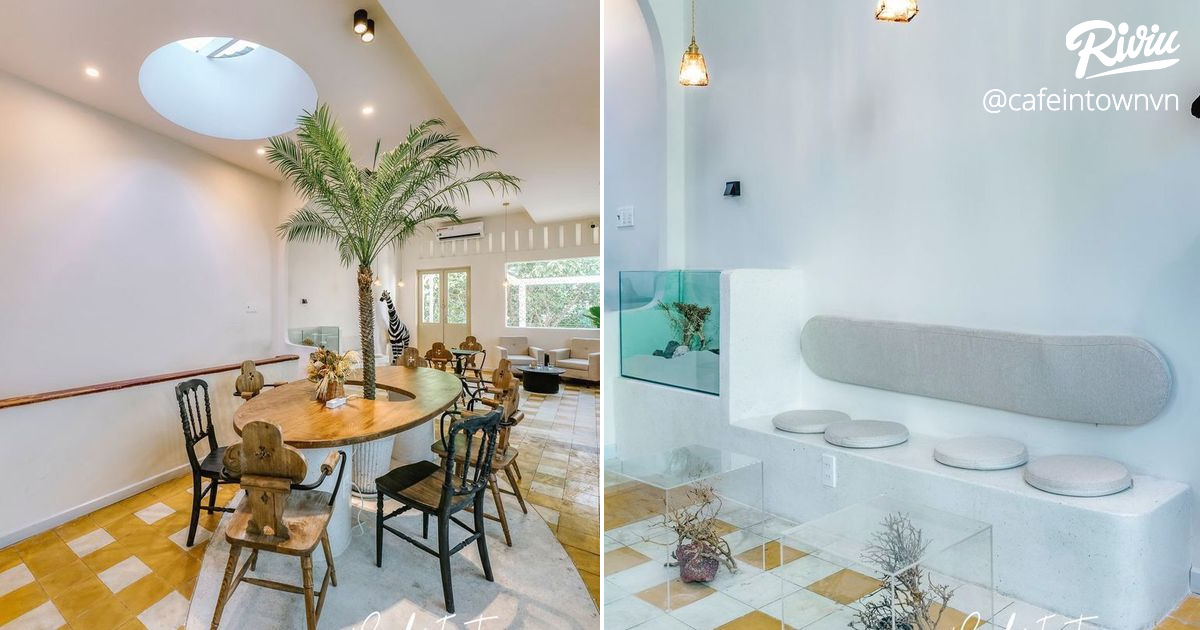 Ngộ nghĩnh quán cafe Zebraffe | riviu.vn