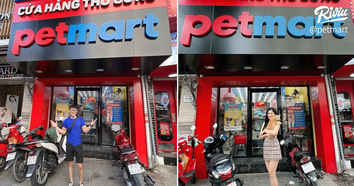 Địa điểm cắt tỉa lông chó Quận 1 | riviu.vn