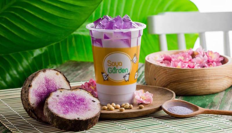 Soya Garden - Quang Trung 239 Quang Trung, Phường Quang Trung, Quận Hà ...